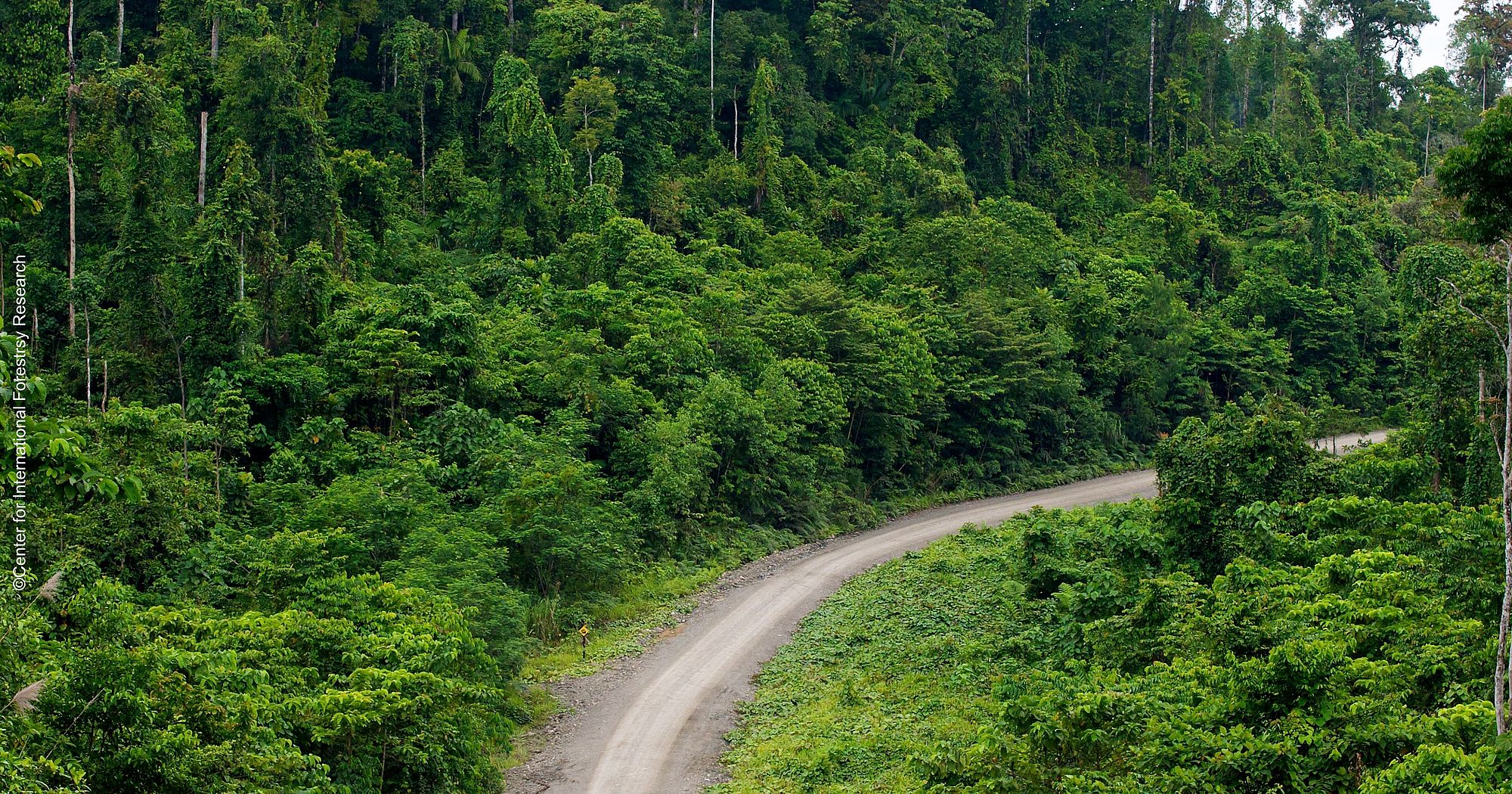 EU Deforestation Regulation (EUDR): Key Features and Impac